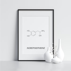 Norepinephrine Molecule Print, Science Wall Decor, Molecule Wall Art ...