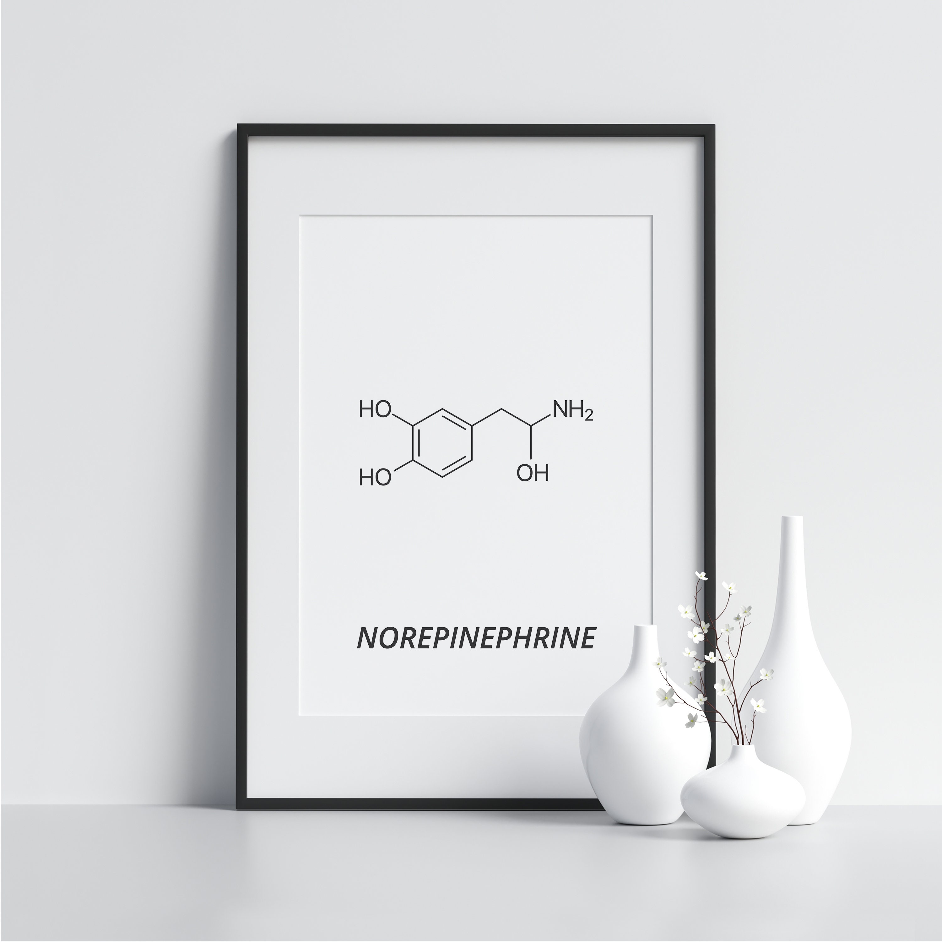 Norepinephrine Molecule Print Science Wall Decor Molecule - Etsy