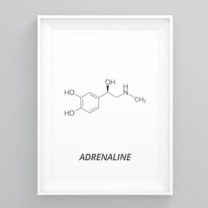 Adrenaline Molecule Print, Chemistry Poster, Science Art Print, Rna ...