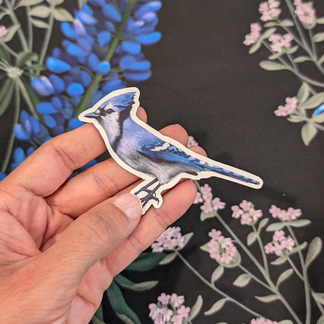 Blue Jay Bird #2 Sticker for Journal, Scrapbook, Laptop Decor - Etsy