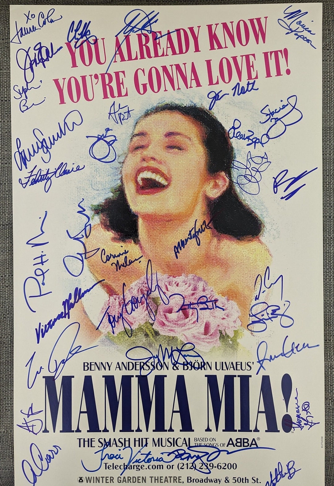 Signed Mamma Mia Poster The Smash Hit Musical Winter Garden Theatre 22 X 14 Inches Etsy