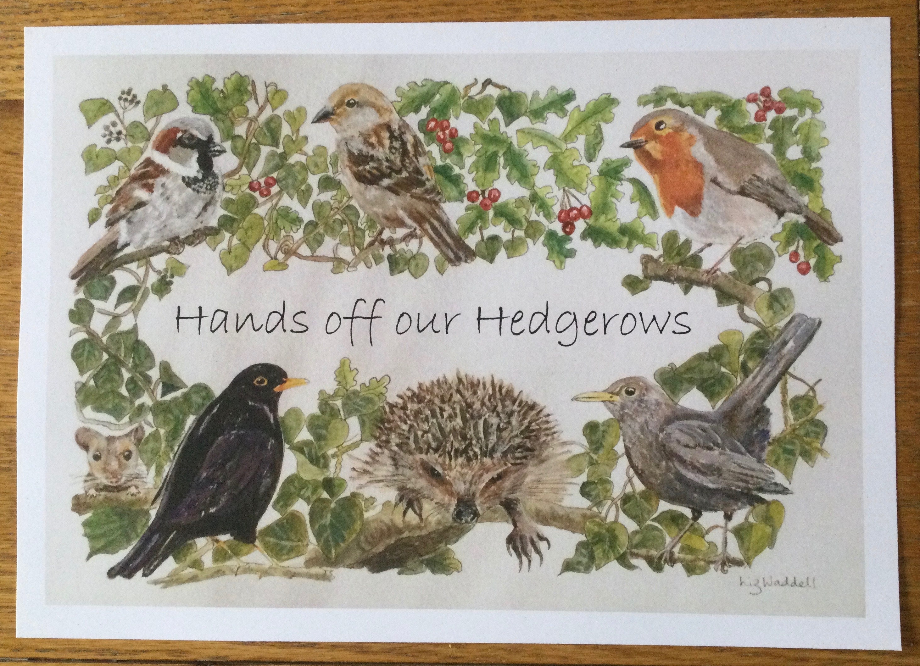 Save Our Hedgerows Poster, Environment Environmental Art Print, Birds ...