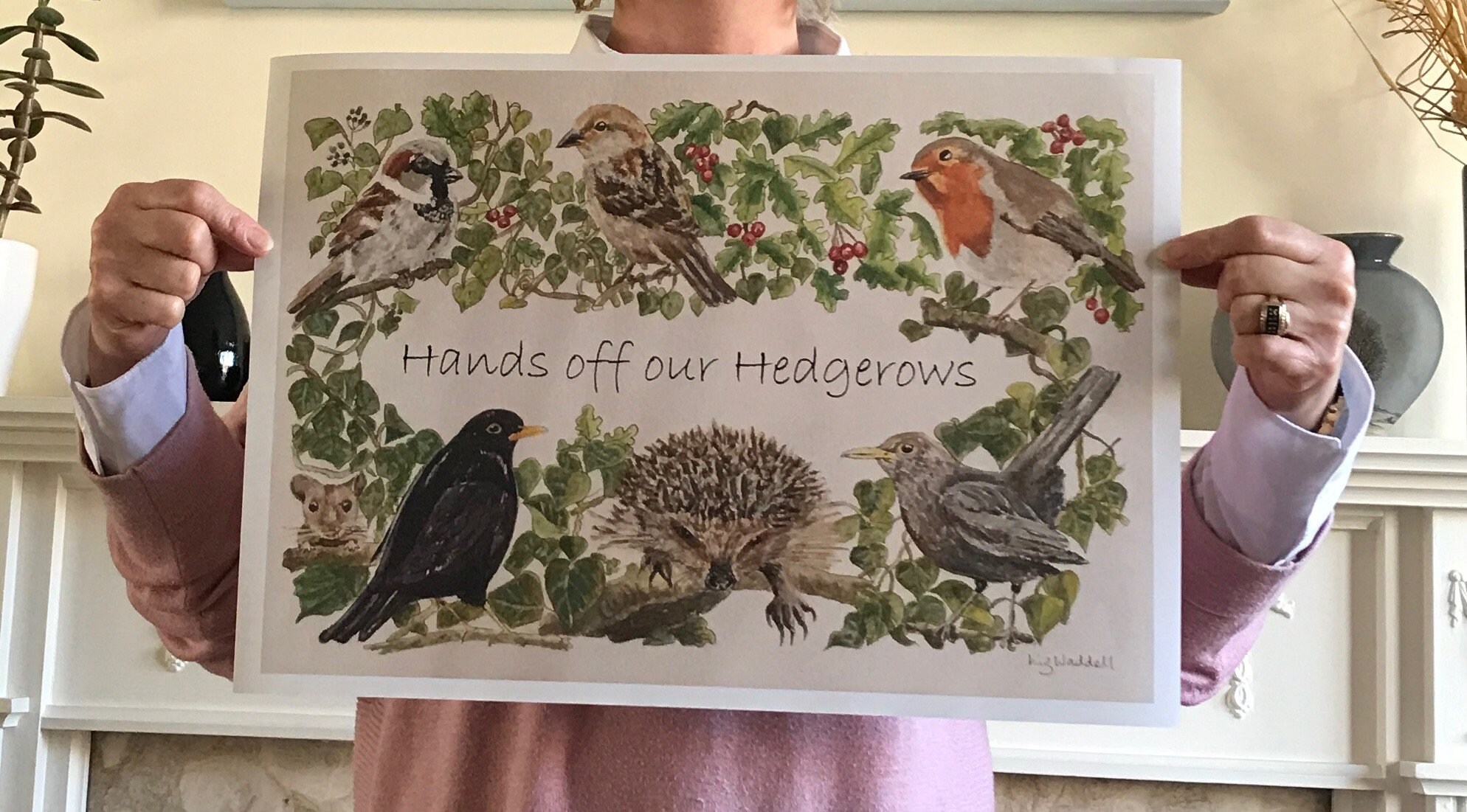Save Our Hedgerows Poster, Environment Environmental Art Print, Birds ...