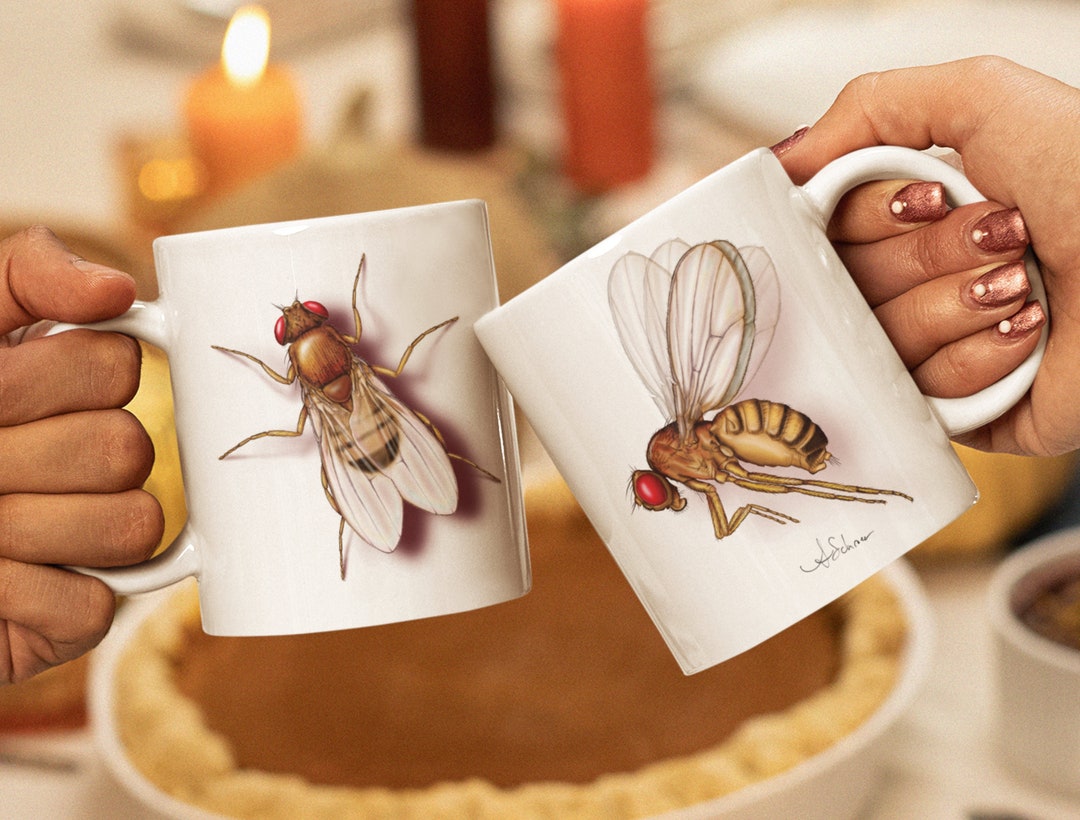 Insect Ceramic Mug Drawing Illustration Fruit Fly Flies Birthday Gift ...