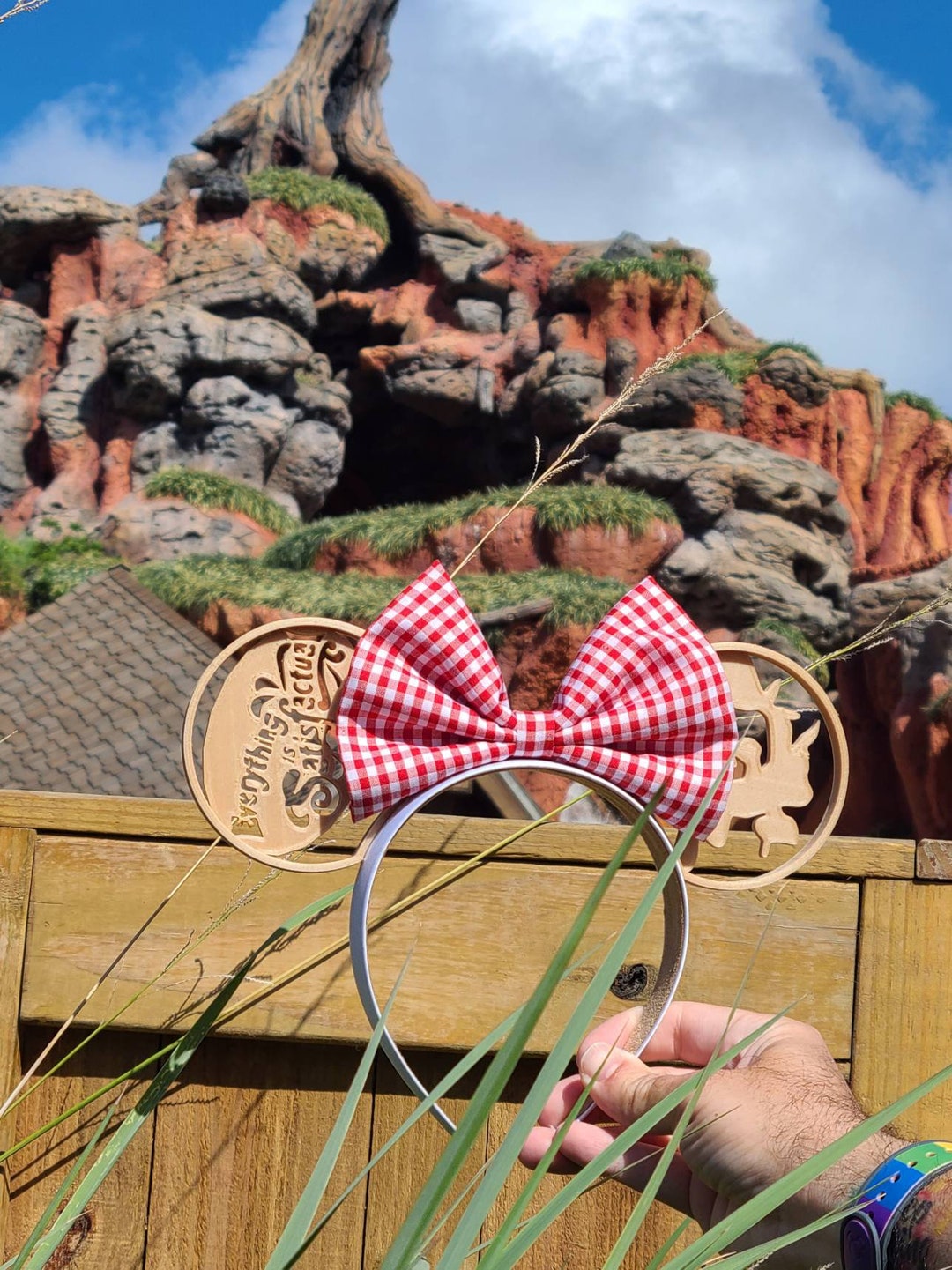 Splash Mountain Park Mouse Ears, 3D Printed Splash Mountain Inspired ...