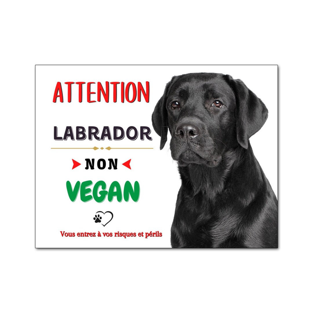 Humor Plaque Attention Labrador Dog I Am Not Vegan Labrador Panel ...