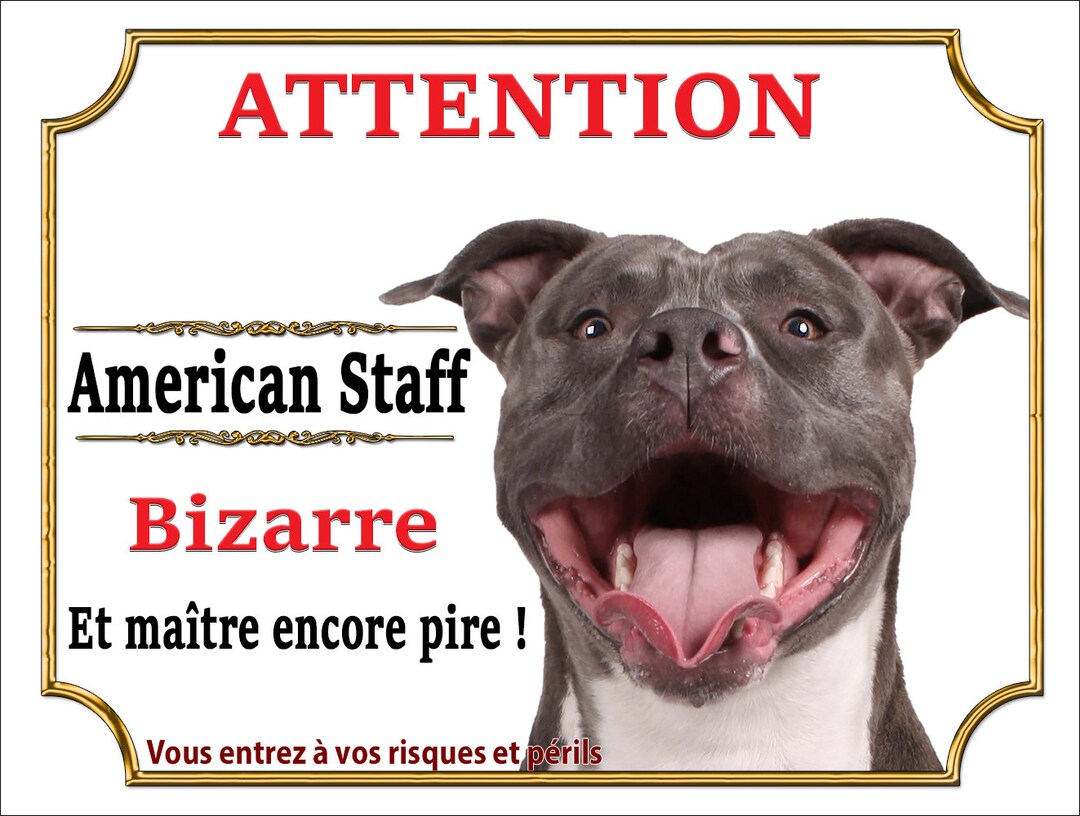 Danger Humor Plaque Beware of the Dog in Aluminum Metal Weird Amstaff ...
