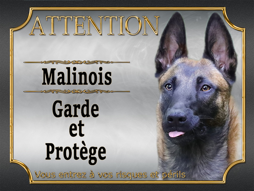 Warning Sign Malinois Dog Guards and Protects Metal Aluminum - Etsy