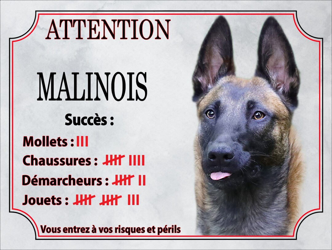 Humor Plaque Beware of the Dog in Aluminum Metal Malinois Panel Counts ...
