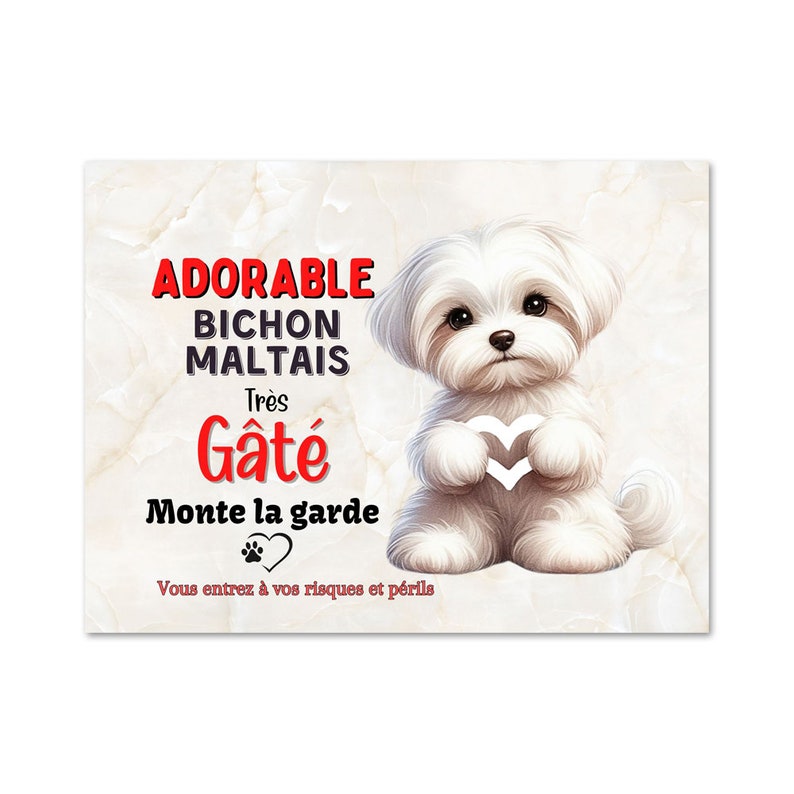 Plaque humour adorable bichon maltais gâté monte la garde plaque ...