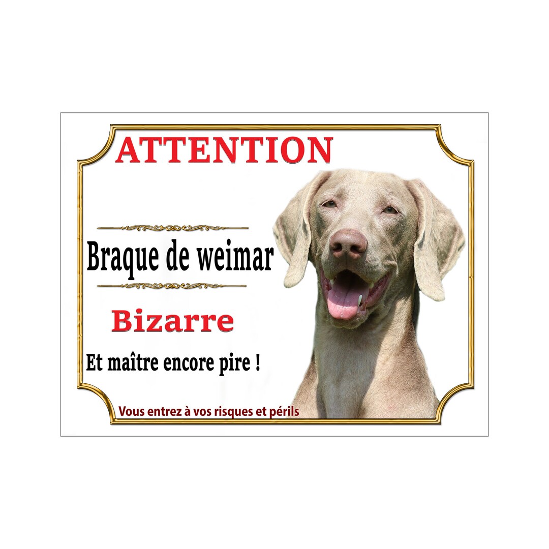 Humor Plaque Warning Weimaraner Weird Metal Dog Aluminum Sign Bizarre ...