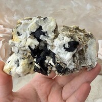 Black Tourmaline (schorl) Quartz Crystal Specimen From Erongo - Etsy