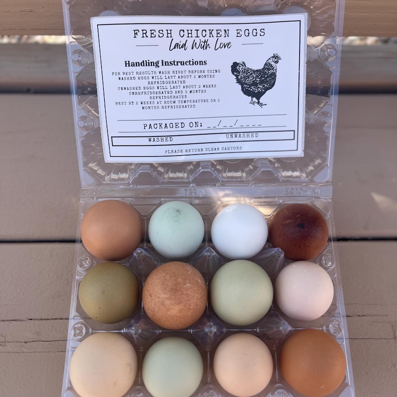 The Fresh Package - Etsy