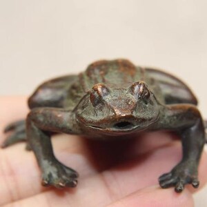 China Collects Solid Pure Copper Frog Statues and Animal Ornaments ...