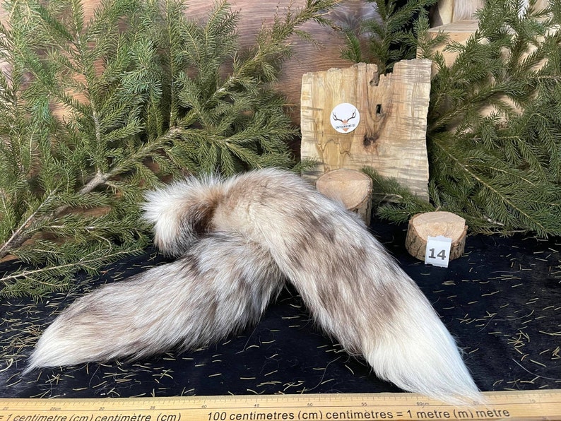 Real Genuine Fox Tail / Authentic Fox Tail - Etsy Canada