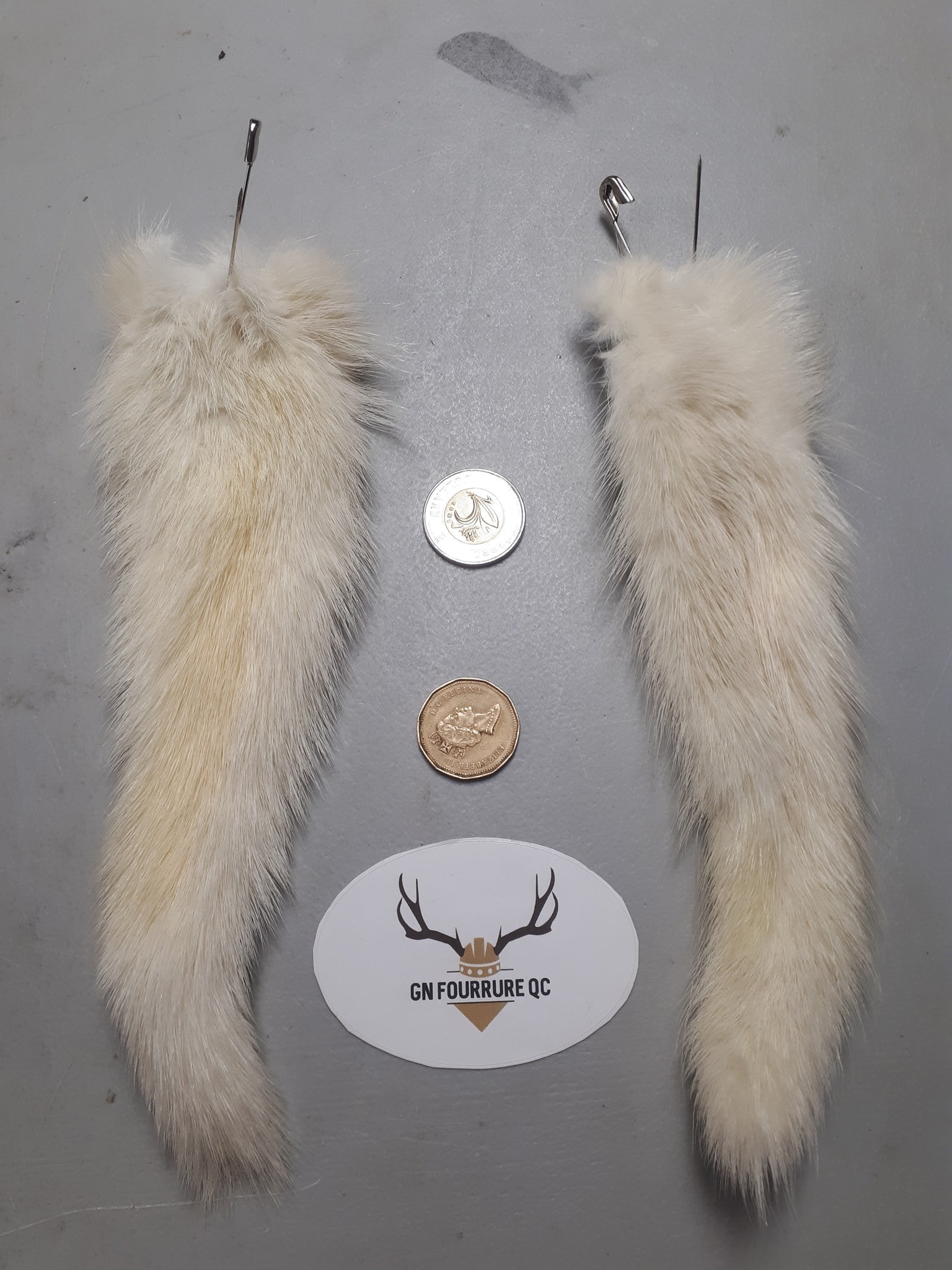 TAIL MIX - Etsy Canada