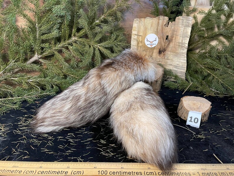 Real Genuine Fox Tail / Authentic Fox Tail - Etsy Canada