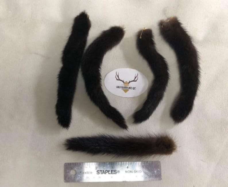 TAIL MIX - Etsy Canada