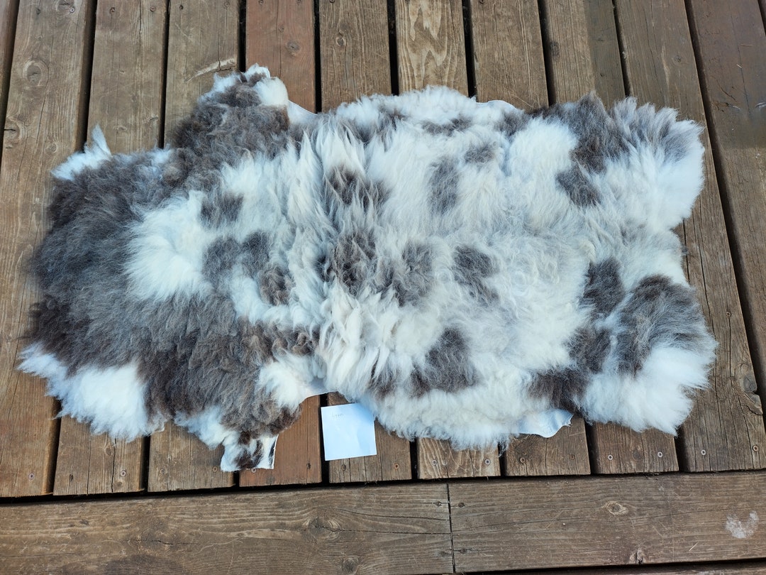 Large Jacob Sheep Pelt - Etsy
