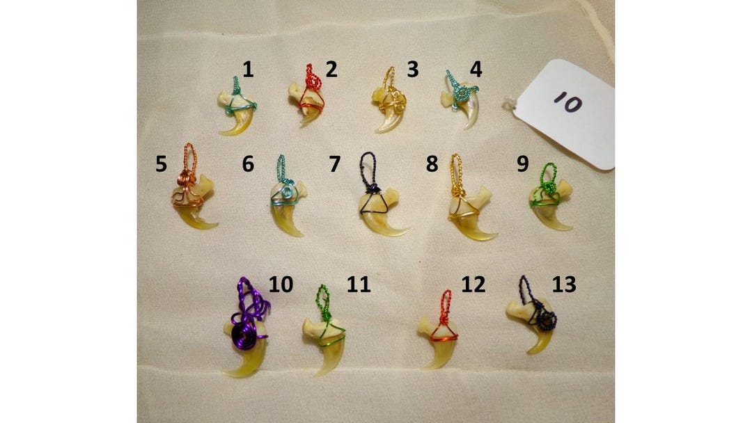 Small Bail Bobcat Claw Pendant. Perfect One-of-a-kind Gift for That ...