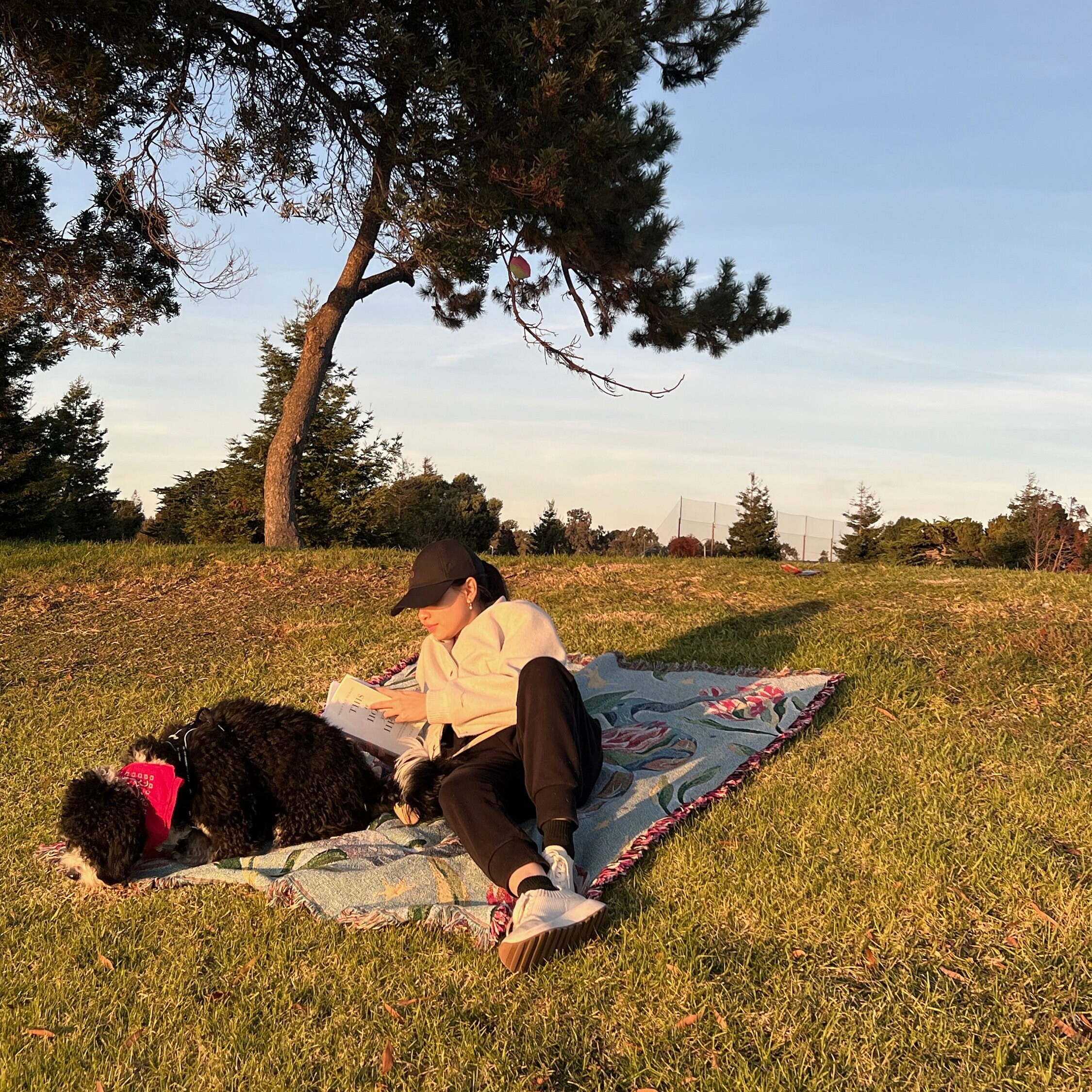 Snake Throw 72"x54" | Picnic Blanket, Wall Art Tapestry, Woven Throw - Etsy