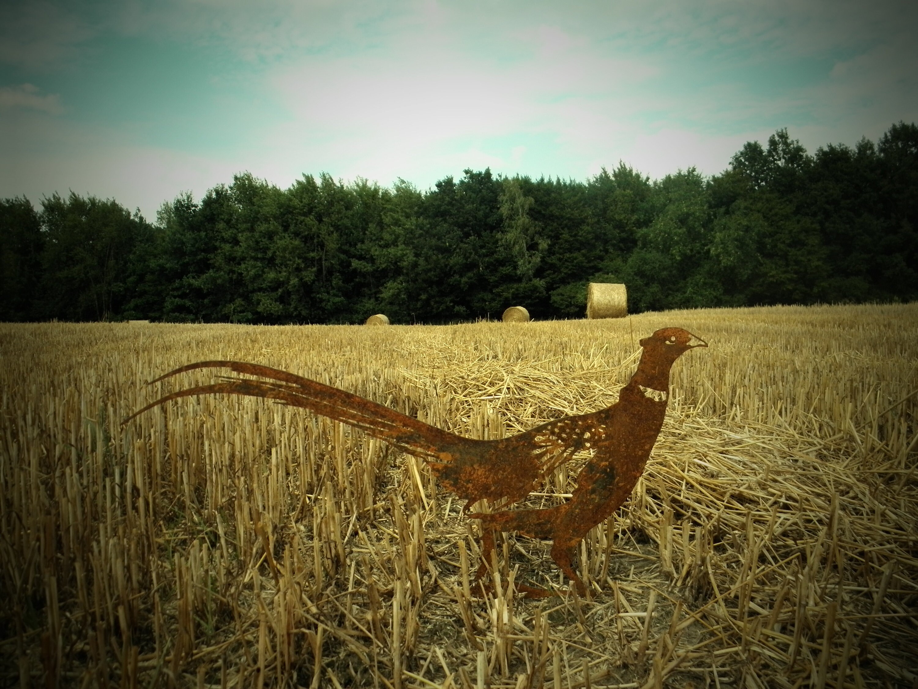 Rusty Pheasant. Outdoor Decor. Bird Silhouette Corten. Rusty | Etsy
