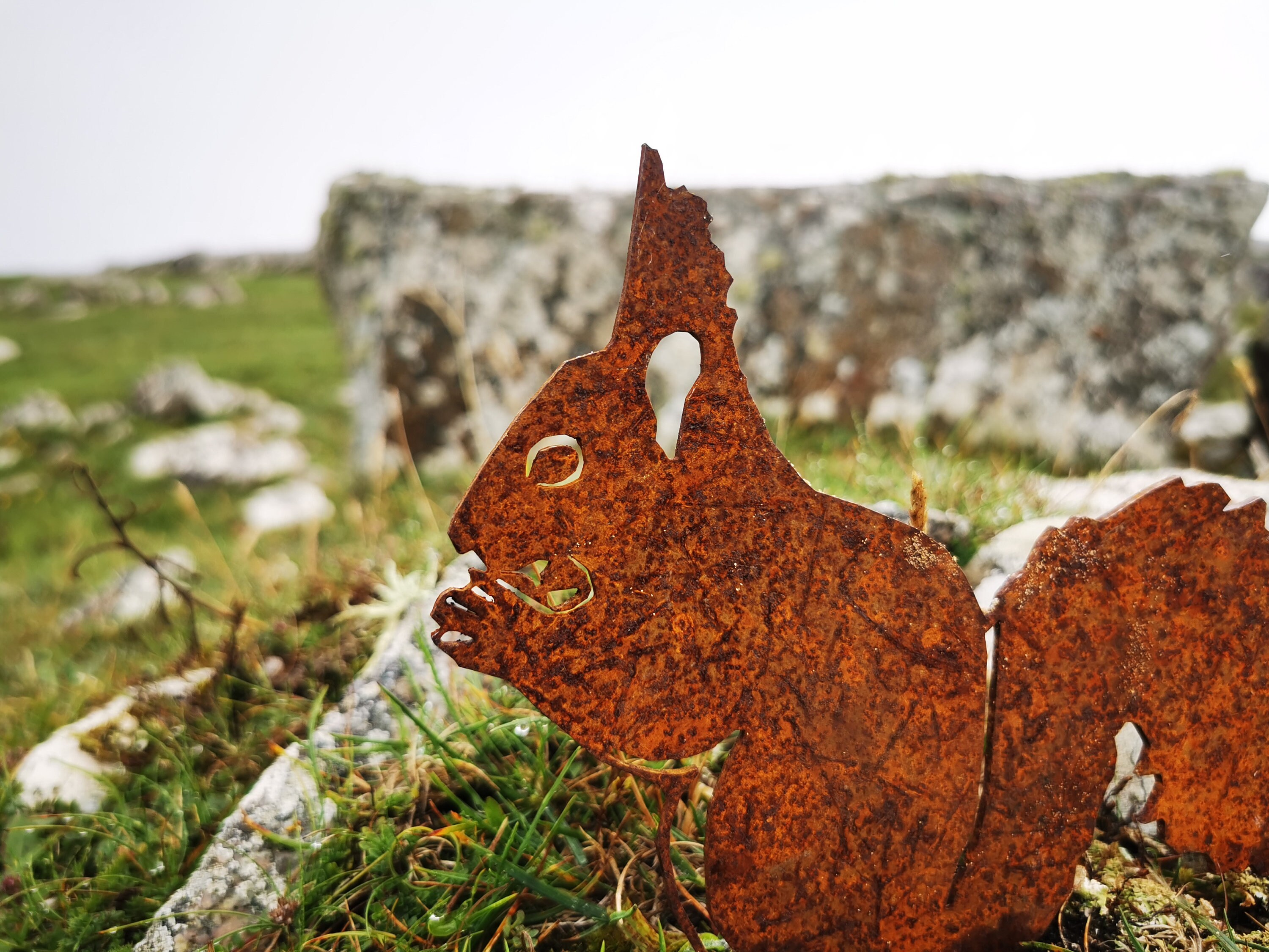 Squirrel Rusty Metal Garden Decor Squirrel Rusted Steel - Etsy