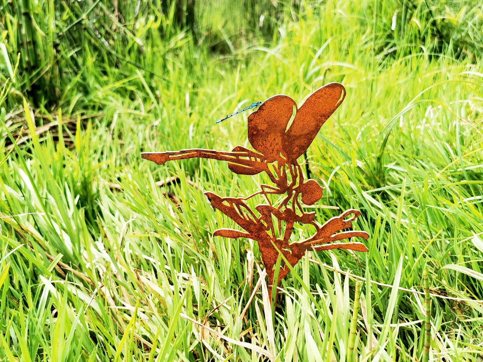 Dragonfly Rusty Garden Art Rusted Metal Art Decoration - Etsy