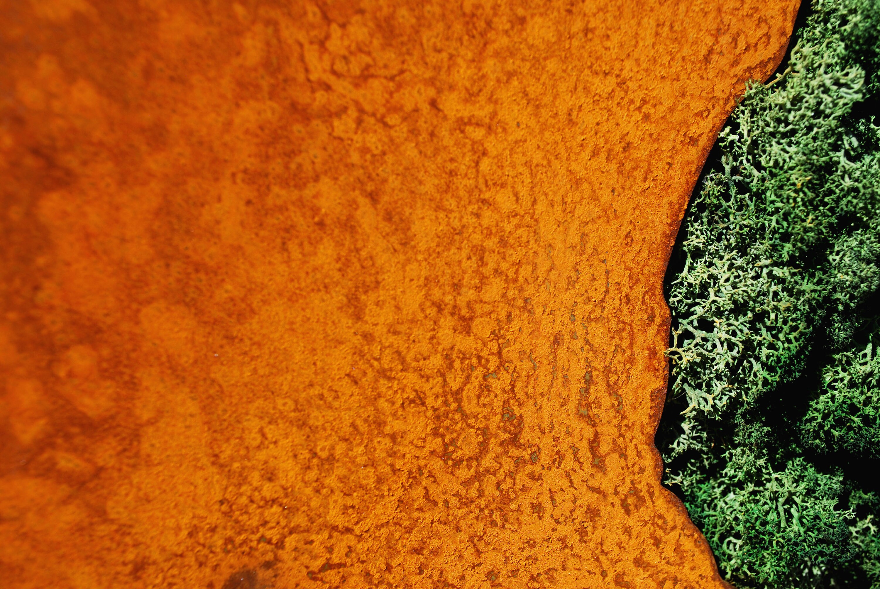 Metal & Moss Wall Art World Map Made of Corten and Reindeer | Etsy