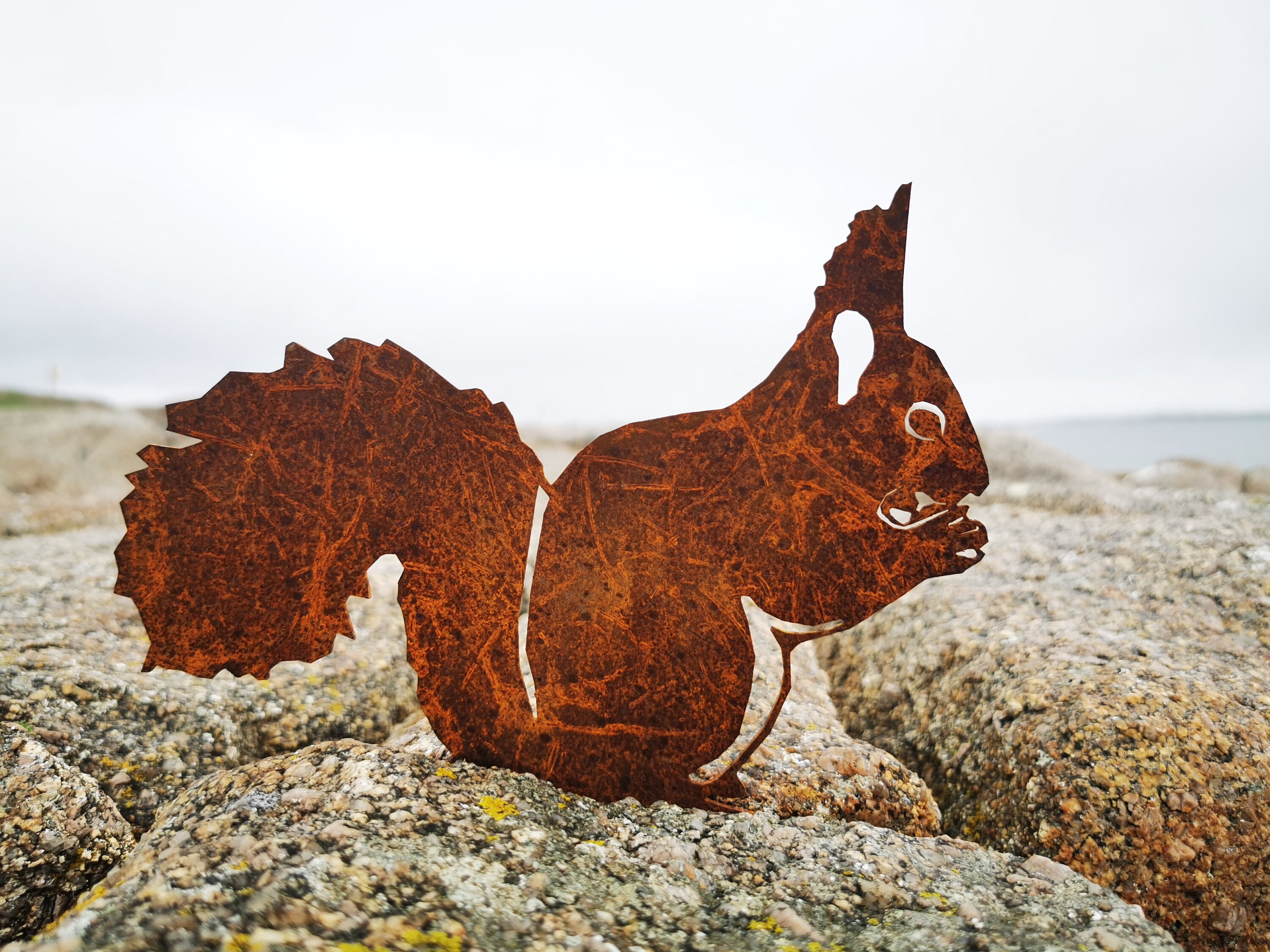 Squirrel Rusty Metal Garden Decor Squirrel Rusted Steel - Etsy