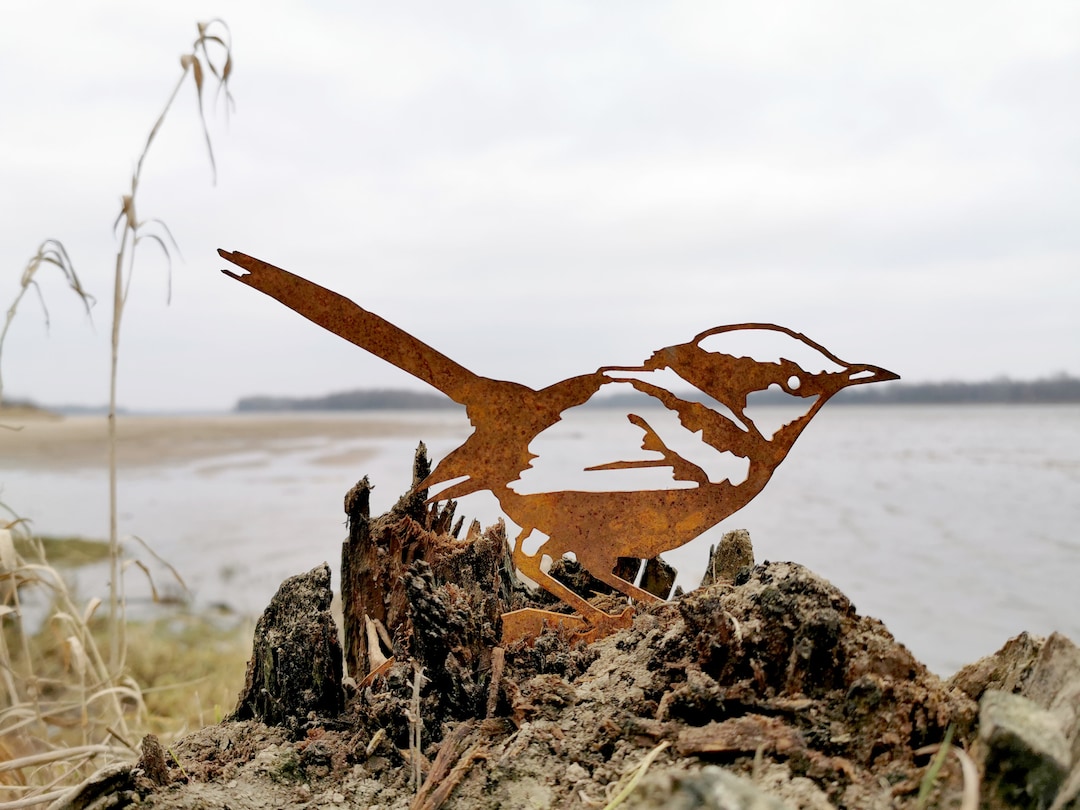 Metall Outdoor Bird, Corten Garden Decor, Superb Fairy Wren. Metal ...