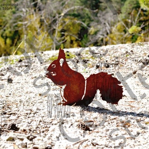 Rusty Metal Squirrel Corten Steel. Garden Yard Decor. Garden Art. Rusty ...