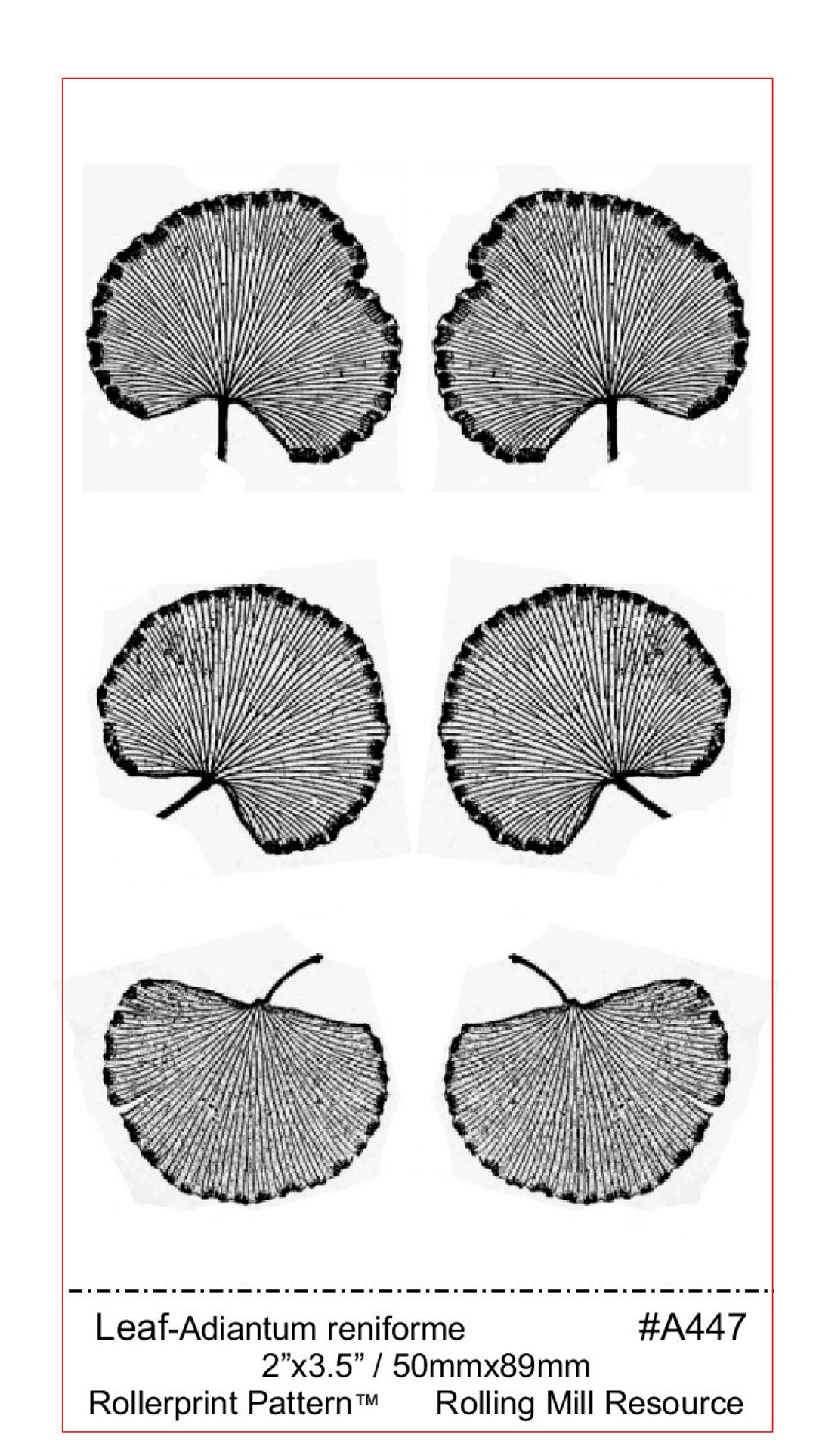 A447 Hoja Reniforme Adiantum Metal Estampado 2.0 x - Etsy España