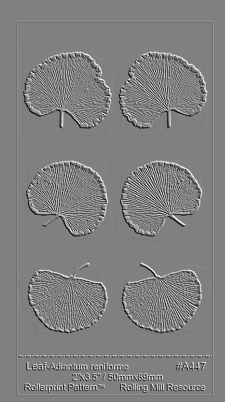 A447 Hoja Reniforme Adiantum Metal Estampado 2.0 x - Etsy España