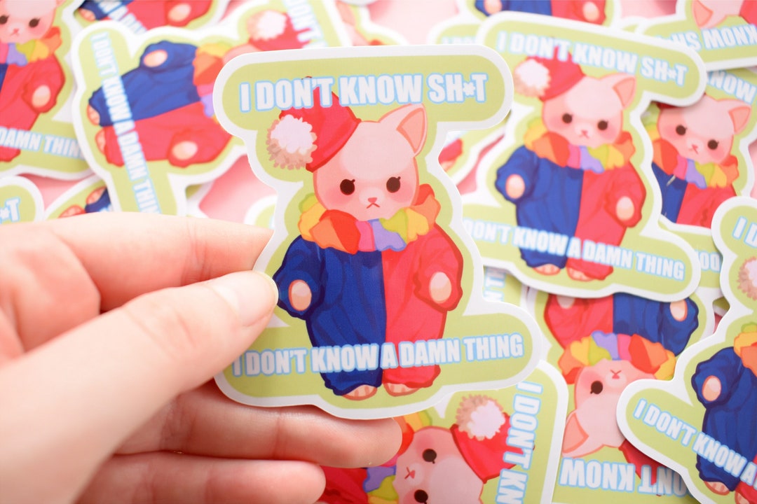 I Don't Know Vinyl Sticker - Etsy
