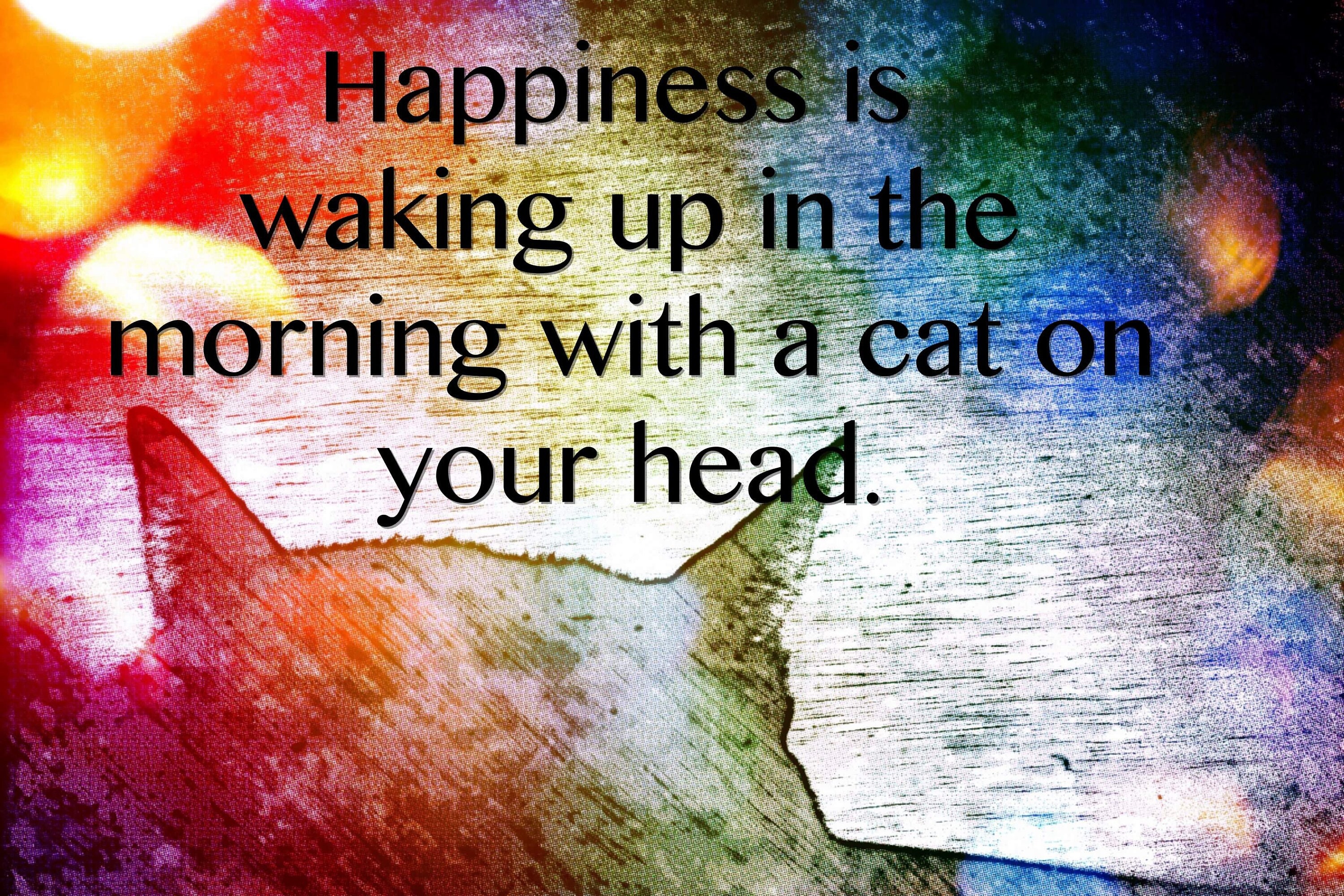 Waking Up Happy Quotes