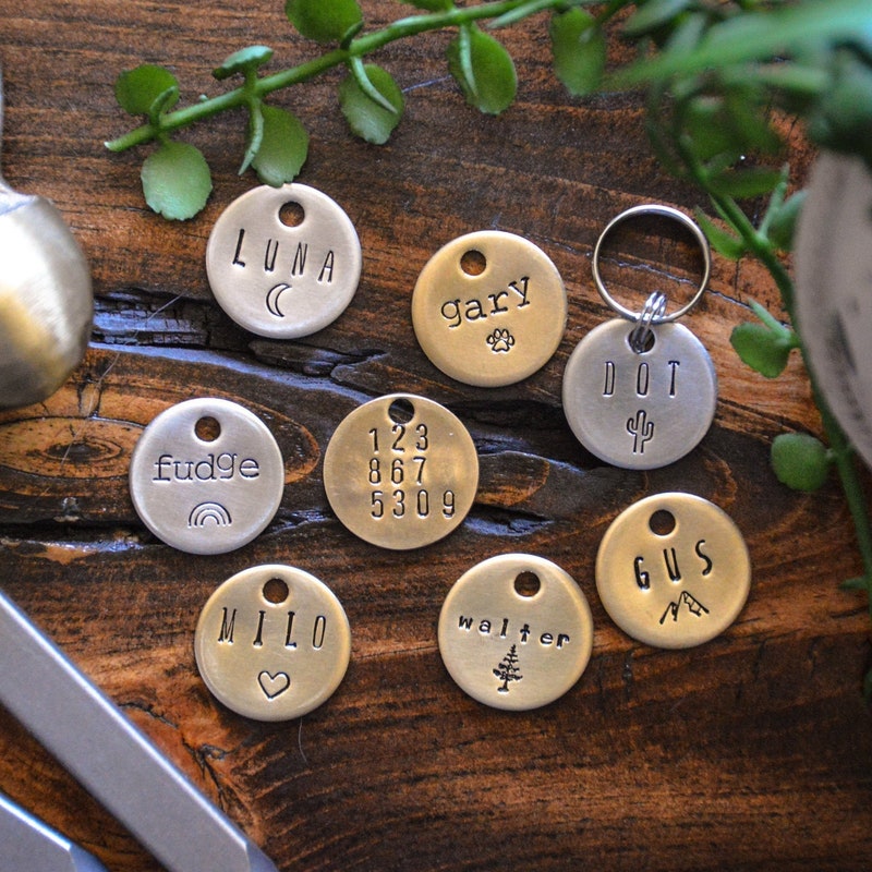 Pet Tag - Etsy