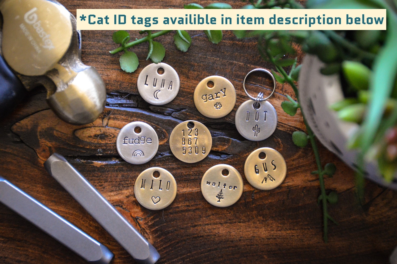 Microchipped Tag Indoor Cat Tag Small Pet Tag Micro - Etsy