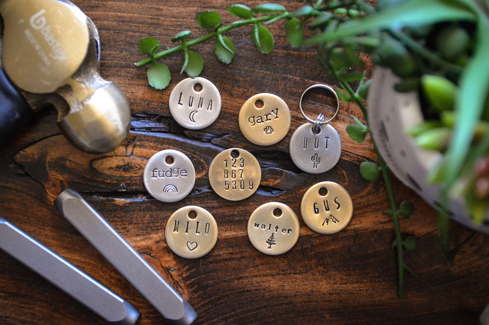 Cat Tag Cat ID Tag Small Pet Tag Cat Name Tag Microchipped - Etsy