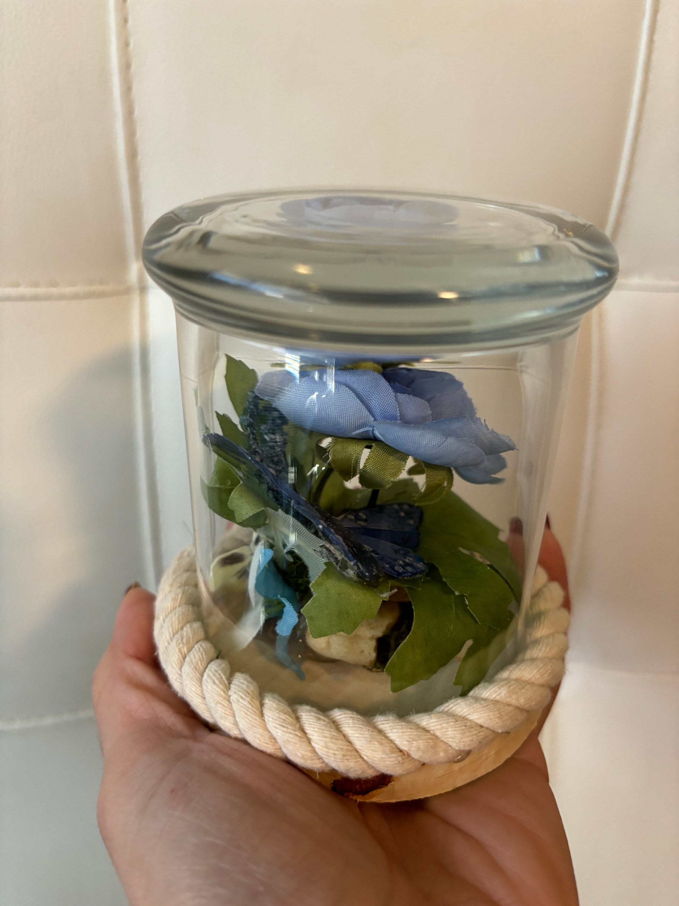 Glass Diorama Centerpiece Souvenir. Trapped Environment With a Natural ...