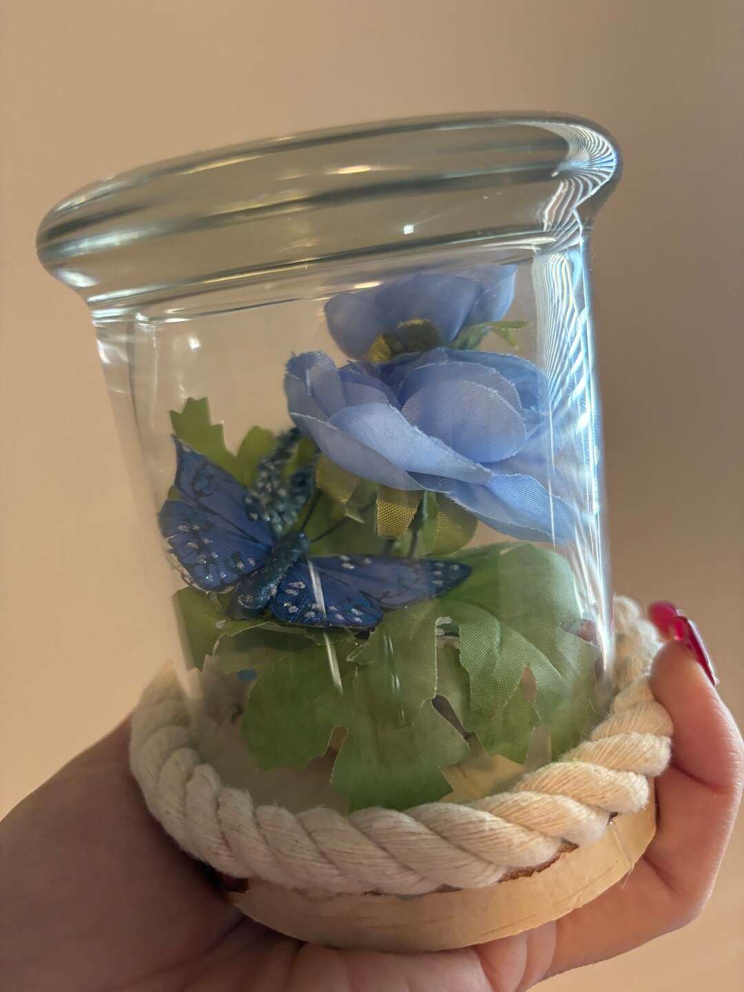 Glass Diorama Centerpiece Souvenir. Trapped Environment With a Natural ...