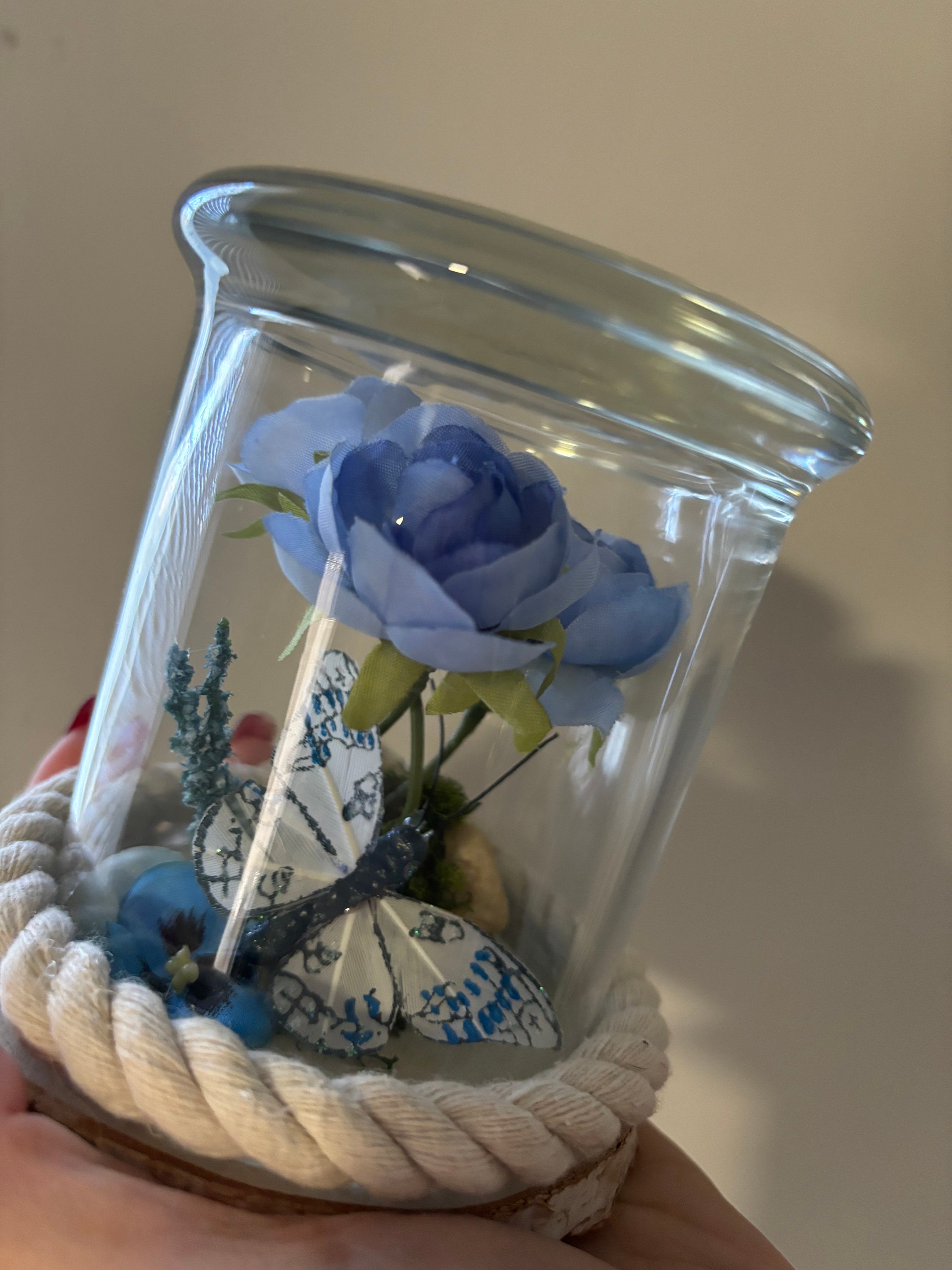 Glass Diorama Centerpiece Souvenir. Trapped Environment With a Natural ...