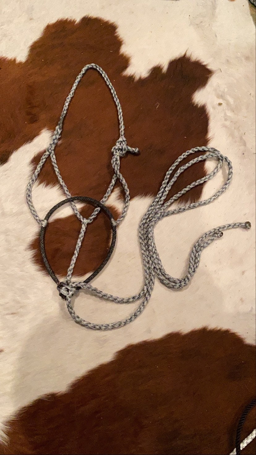 Grey Loping Hackamore - Etsy
