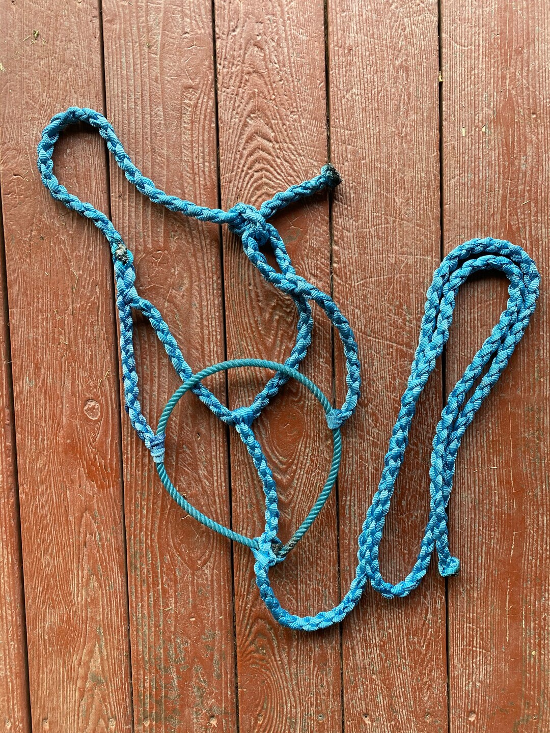 Teal on Teal Rope Noseband - Etsy