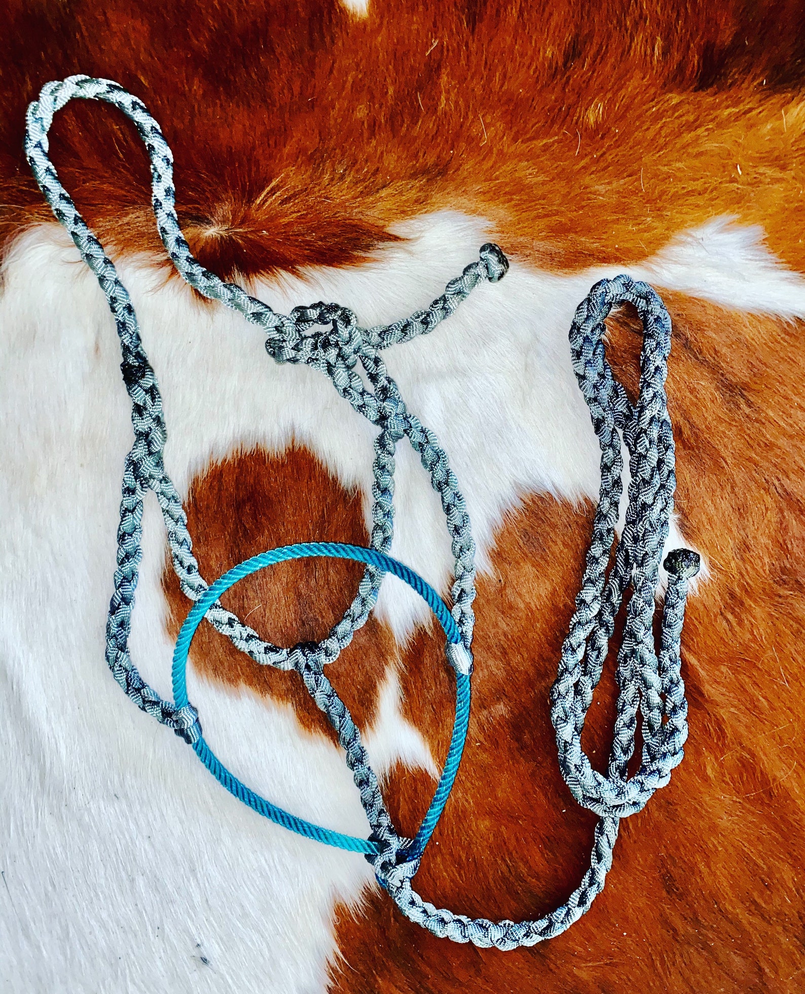 Gray Muletape Halter W/ Teal Rope Noseband - Etsy