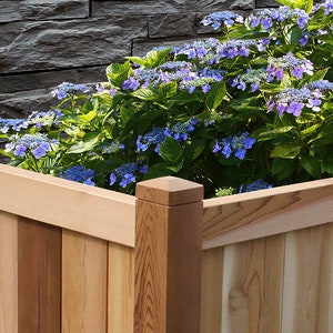 48" X 24" Red Cedar Planter - Etsy