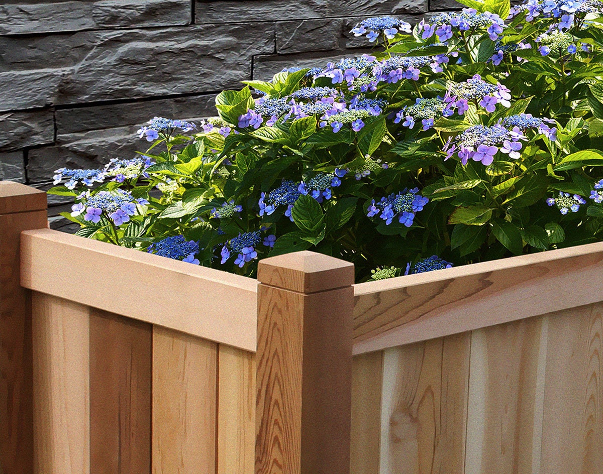 48" X 24" Red Cedar Planter - Etsy