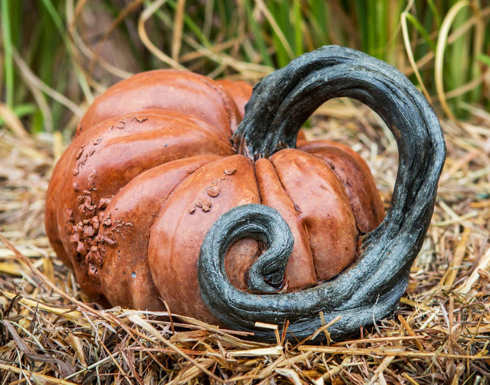 Concrete Long Vine Pumpkin - Etsy