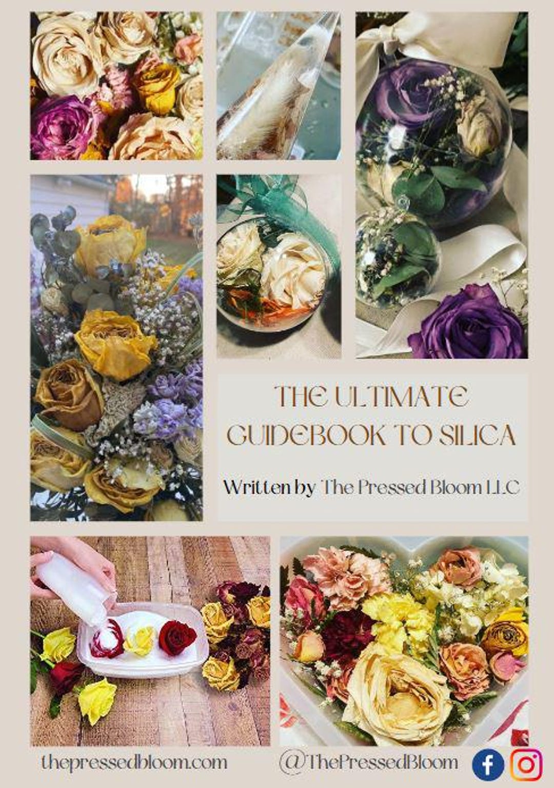 The Ultimate Silica Guidebook by the Pressed Bloom for DIY Floral ...