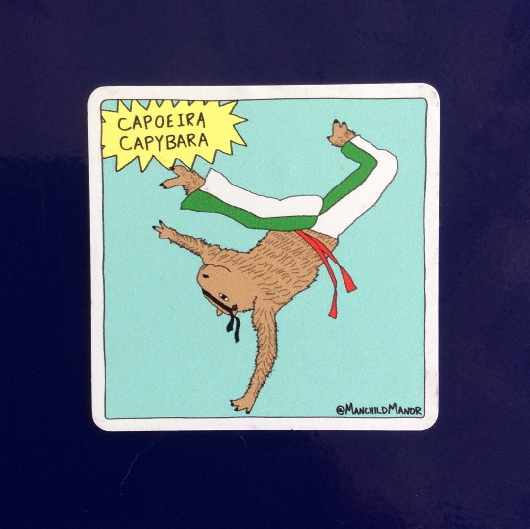 Capoeira Capybara Magnet - Etsy